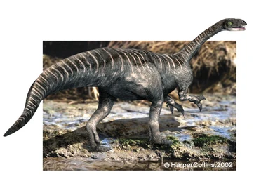 Plateosaurus | Sauropedia Wiki | Fandom