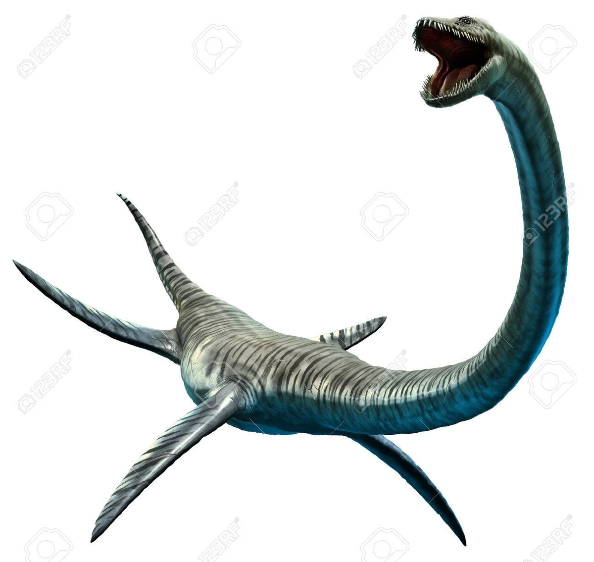 Elasmosaurus | Sauropedia Wiki | Fandom