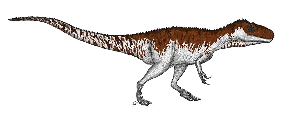 Magnosaurus | Sauropedia Wiki | Fandom