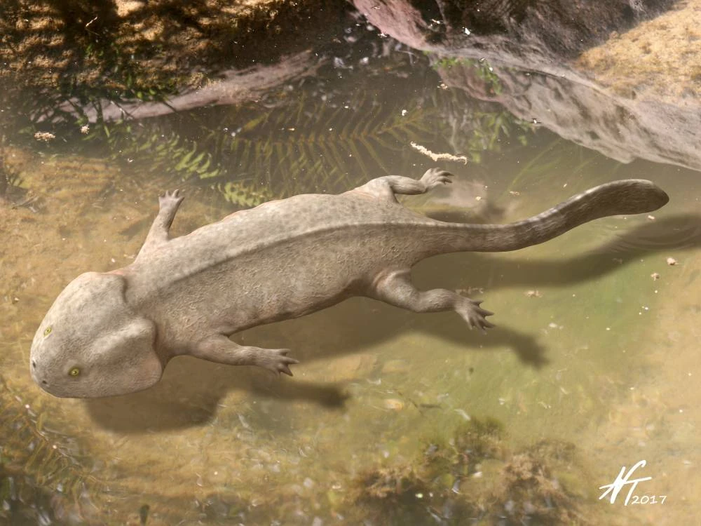 Category:Prehistoric amphibians of South America | Sauropedia Wiki | Fandom