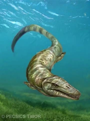 Pannoniasaurus | Sauropedia Wiki | Fandom