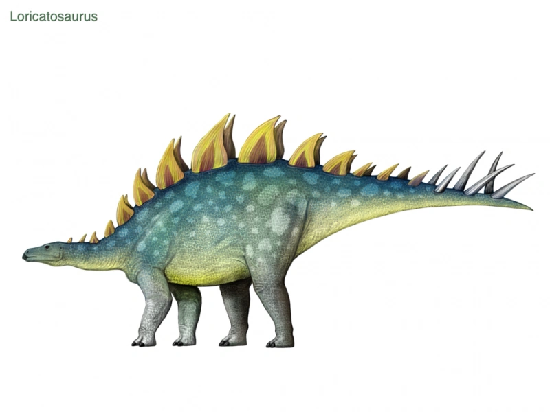 Loricatosaurus | Sauropedia Wiki | Fandom