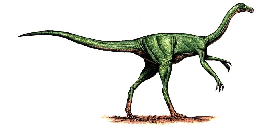 Struthiomimus | Sauropedia Wiki | Fandom