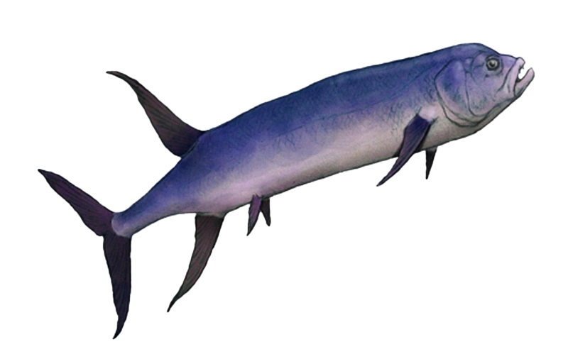 Gillicus | Sauropedia Wiki | Fandom