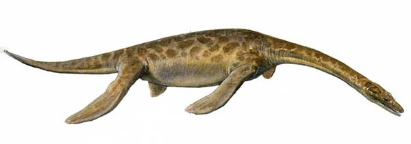 Pistosaurus | Sauropedia Wiki | Fandom