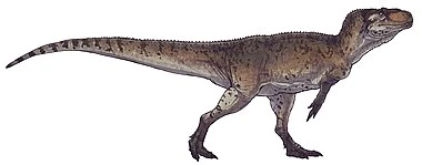 Piveteausaurus | Sauropedia Wiki | Fandom