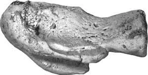 Griphognathus | Sauropedia Wiki | Fandom