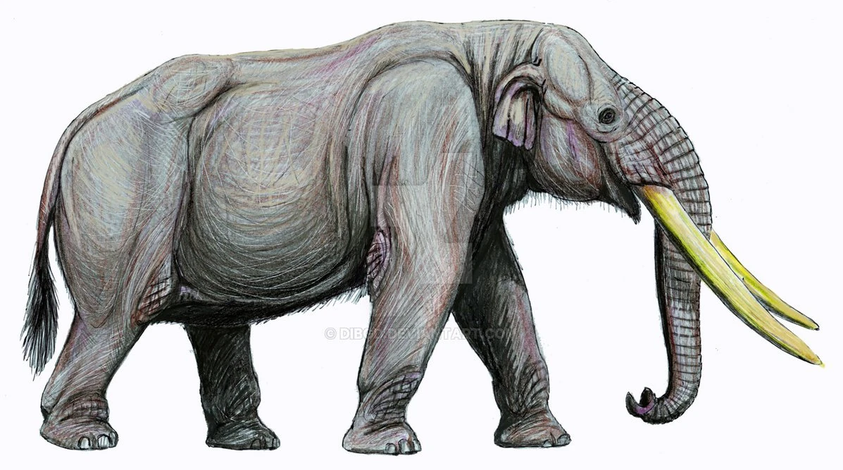 Stegomastodon | Sauropedia Wiki | Fandom