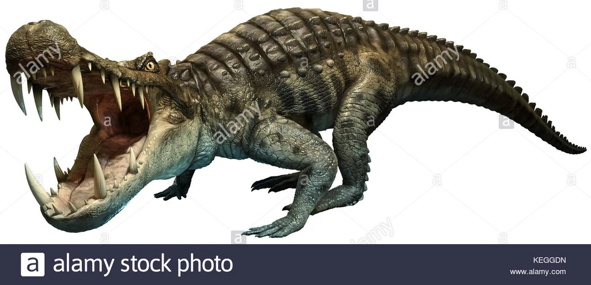 Kaprosuchus | Sauropedia Wiki | Fandom