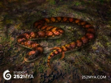 Najash | Sauropedia Wiki | Fandom