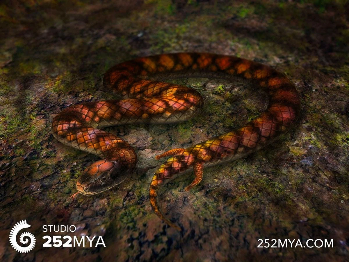 Najash | Sauropedia Wiki | Fandom