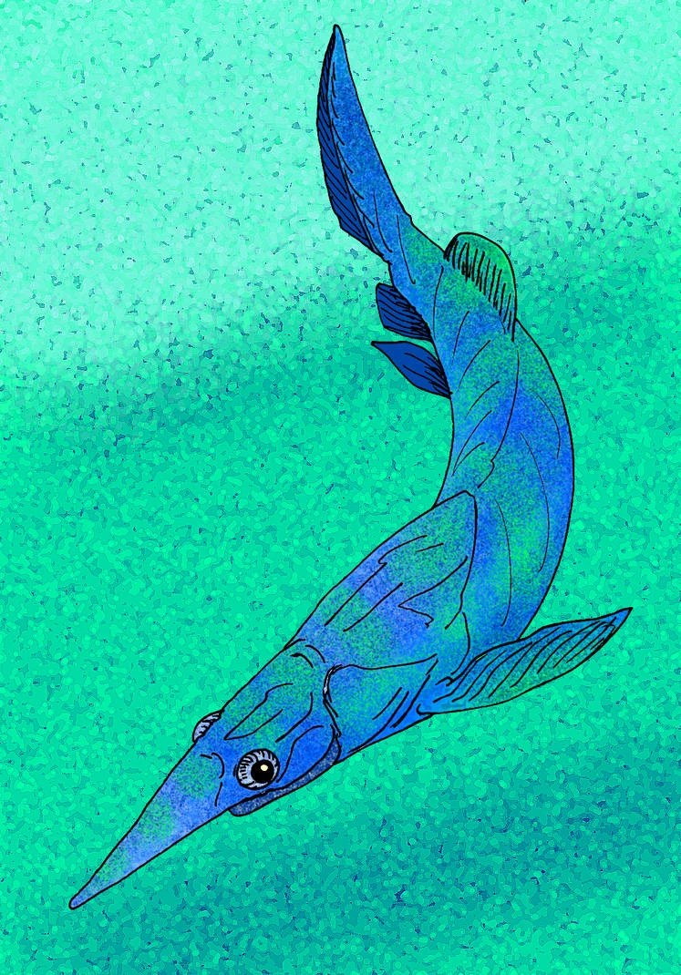 Rolfosteus | Sauropedia Wiki | Fandom