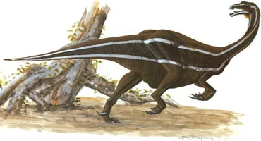 Segnosaurus | Sauropedia Wiki | Fandom