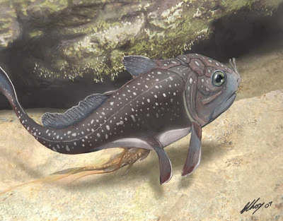 Materpiscis | Sauropedia Wiki | Fandom