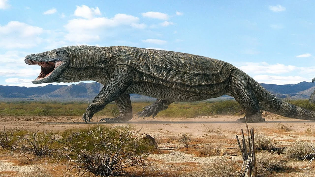 Megalania Prisca