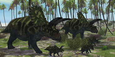 Coahuilaceratops | Sauropedia Wiki | Fandom