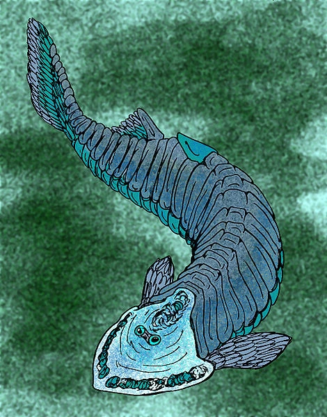 Cephalaspis | Sauropedia Wiki | Fandom