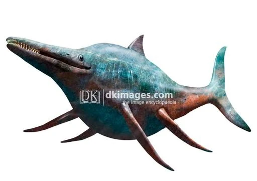 Shonisaurus | Sauropedia Wiki | Fandom