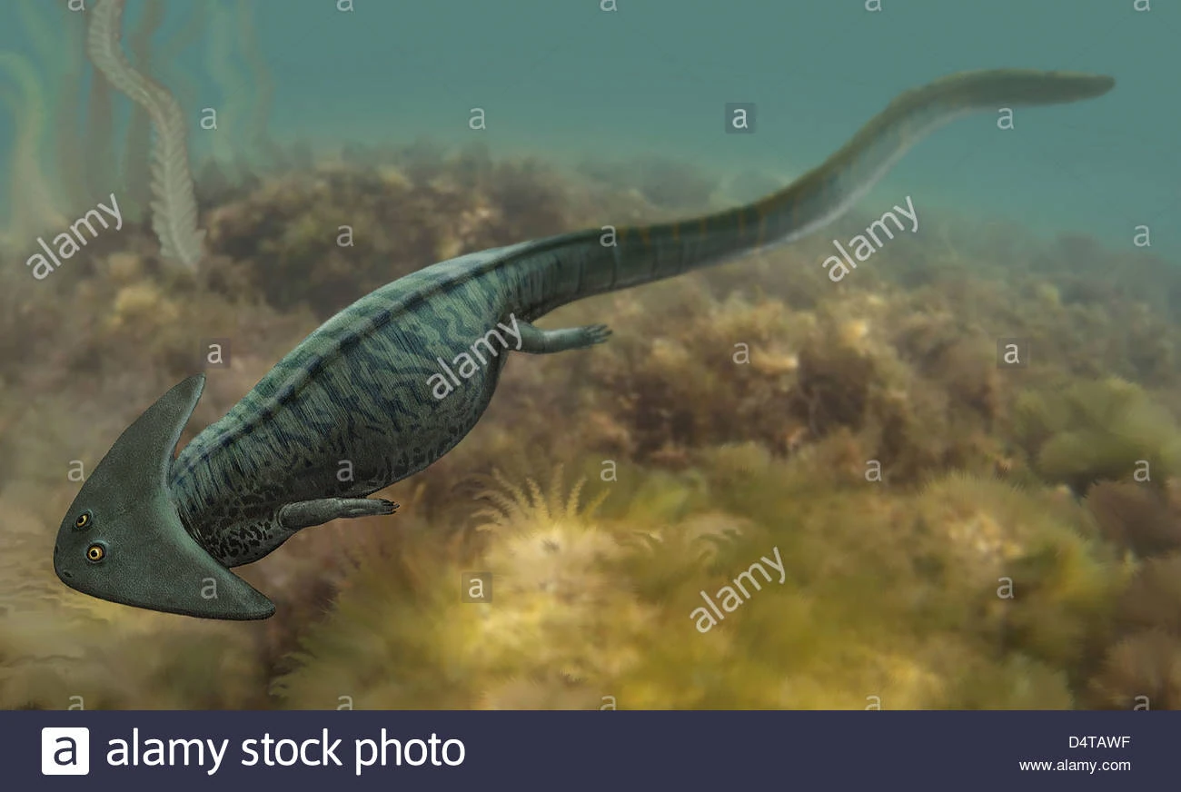 Lepospondyls