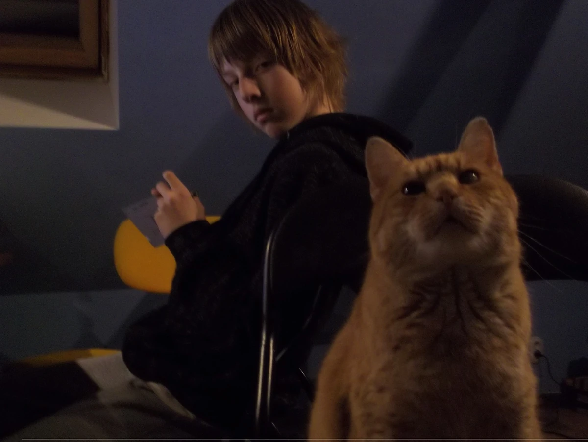 Kotch | Saurum Wiki | Fandom