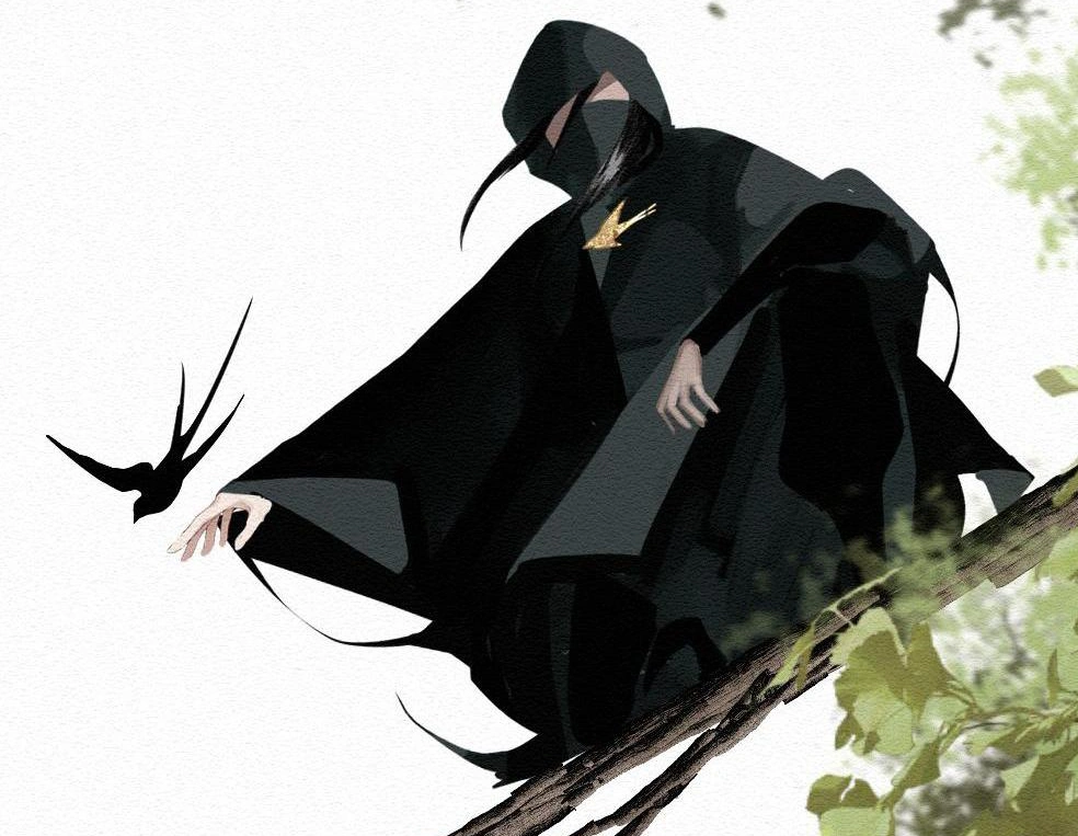 Shadow Guards | Saved the Public Enemy by Mistake Wiki | Fandom