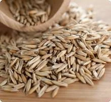 Seigle | Wikia Saveurs du monde | Fandom