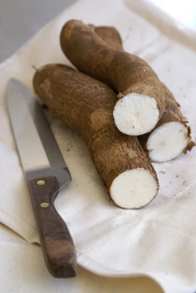 Tapioca | Wikia Saveurs du monde | Fandom