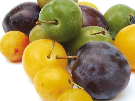 Prunes | Wikia Saveurs du monde | Fandom