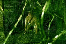 Paul Lestrange | Saw Wiki | Fandom