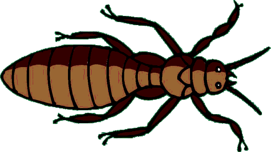 Termites | Sawdust Wiki | Fandom