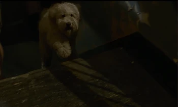 Chance | Saw Wiki | Fandom