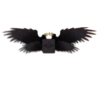 What Is A Sbeve? | Sbeve Wiki | Fandom