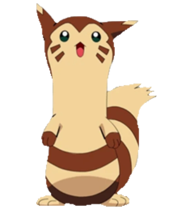Furret | SBLK Wiki | Fandom