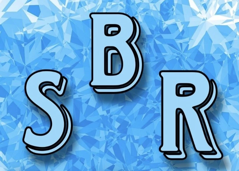 SBR: The Challenge Wiki | Fandom