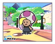 Gen Alpha Toad | SBRP & Legends Wiki | Fandom
