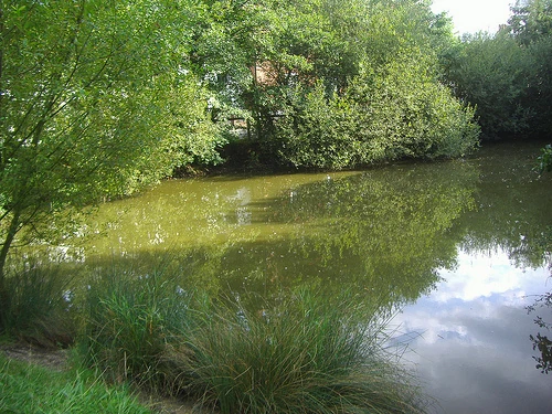 London Borough of Barnet | Sustainable Community Action | Fandom