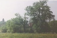 Character and vitality of West Malling | Sustainable Community Action ...