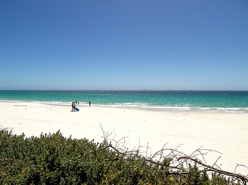 Perth | Sustainable Community Action | Fandom