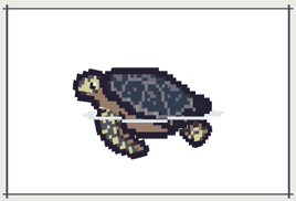 Hawksbill Sea Turtle | Scale the Depths Wiki | Fandom