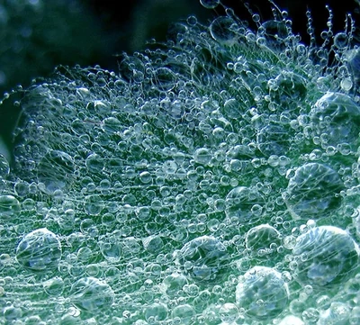 Higher-Dimensional Manipulation | ScalenzVerse Wiki | Fandom