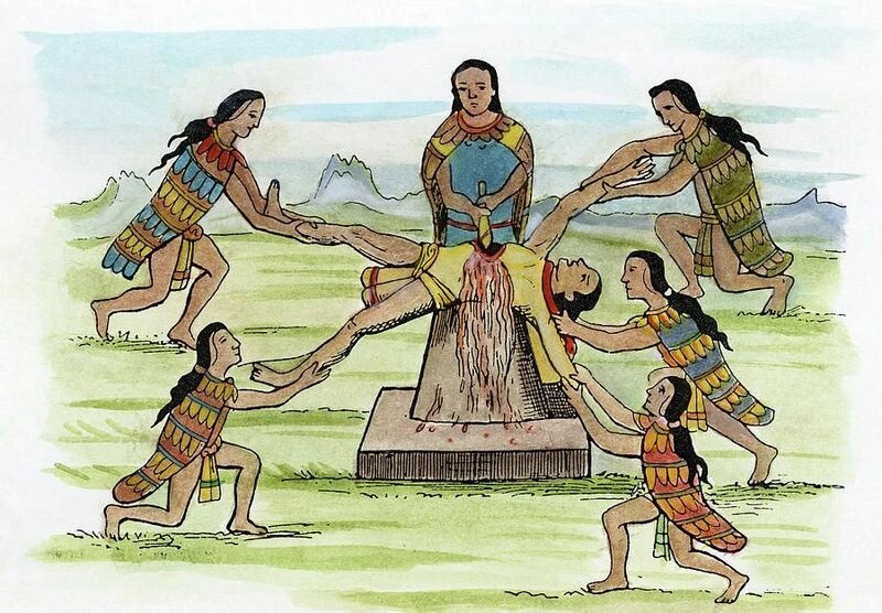 Zotology The Tree Of Knowledge Feats Cosmology And Outsmarting