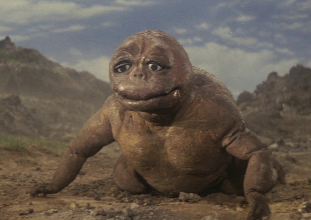 Shippy Shippington | The Clothingpedia | Fandom