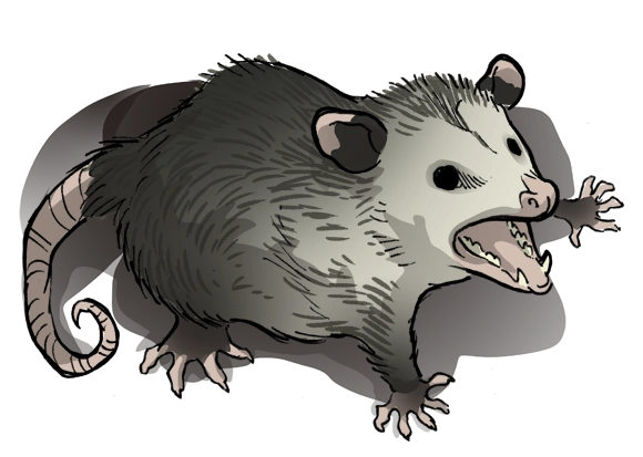 Dustin | Scarlet Hollow Wiki | Fandom