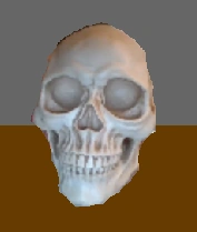 Max | Scary Skulls Wiki | Fandom