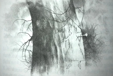 Scary Story The Wolf Girl
