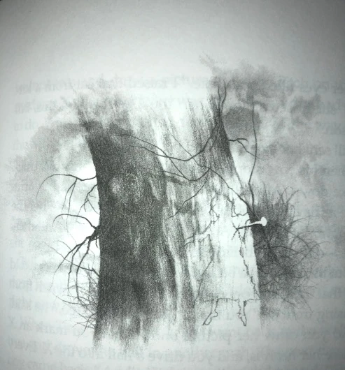 Such Things Happen | Scary Stories to Tell in the Dark Wiki | Fandom