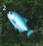 Salmon | Scary Sushi Wiki | Fandom