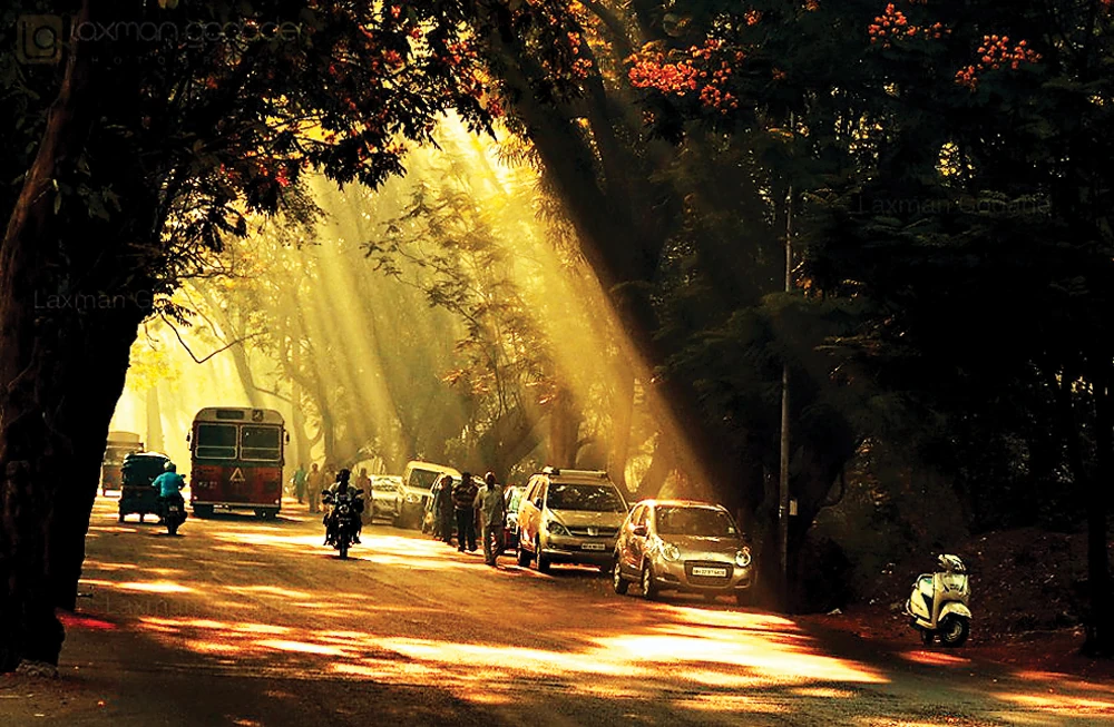 Aarey Milk Colony | ScaryWiki | Fandom