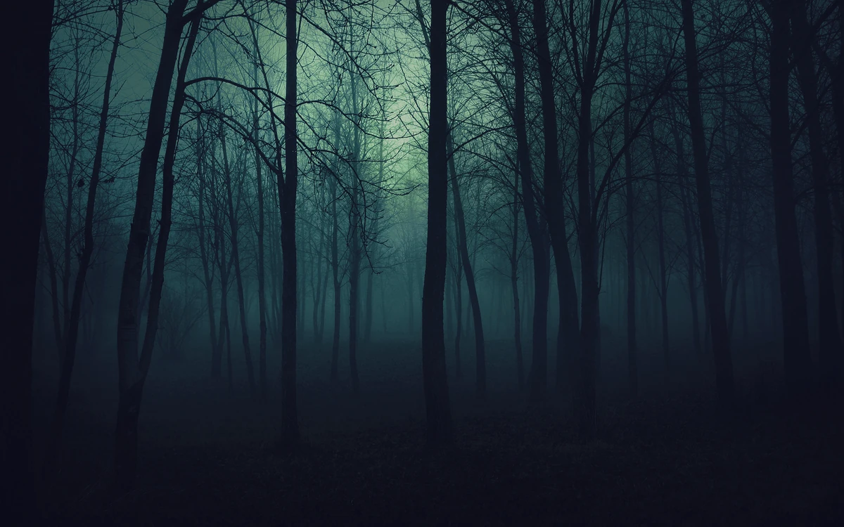 Category:Forests | Scary Locations Wiki | Fandom