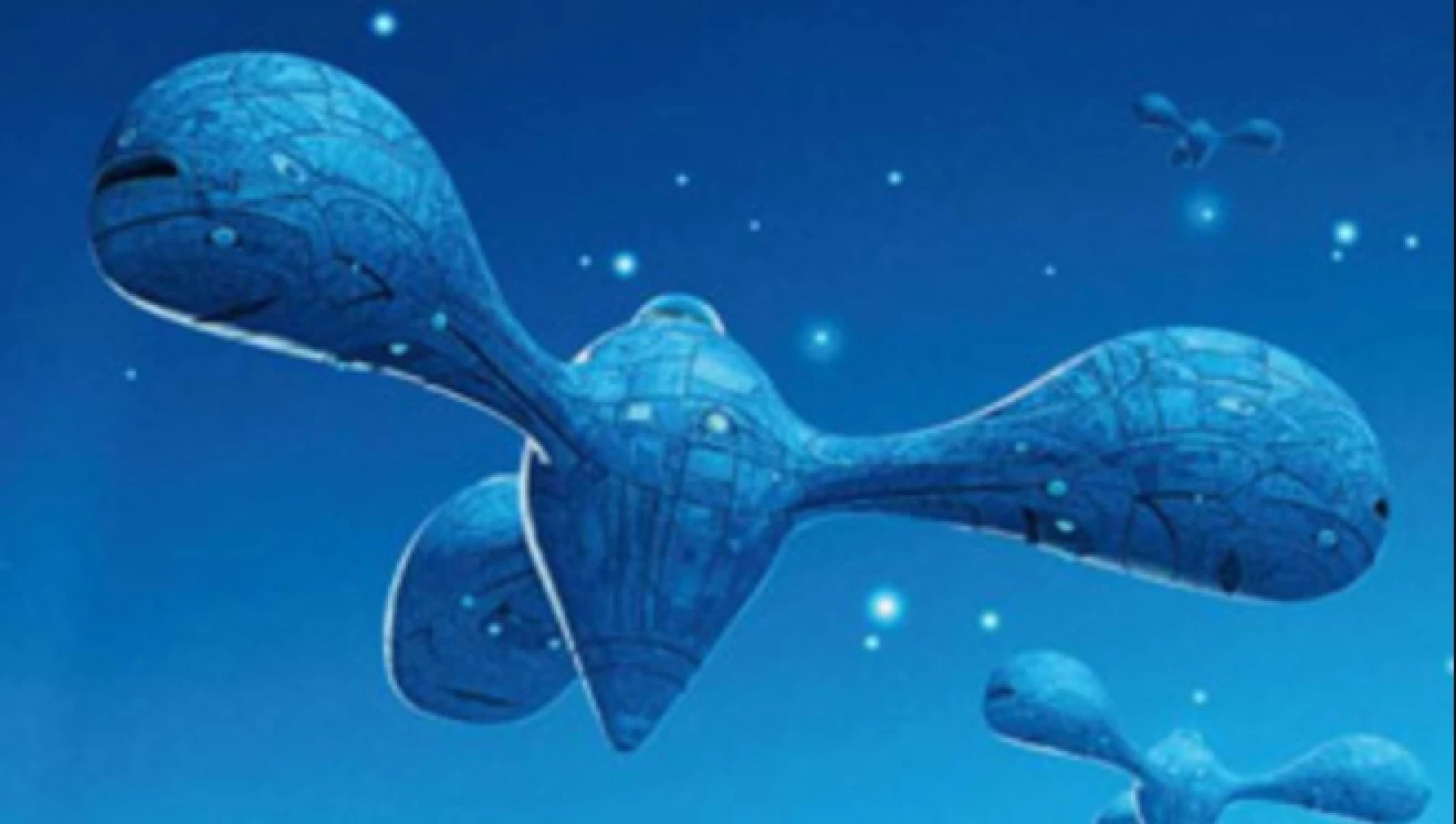 Galax-class destroyer | Scenario where no one has gone before Wiki | Fandom